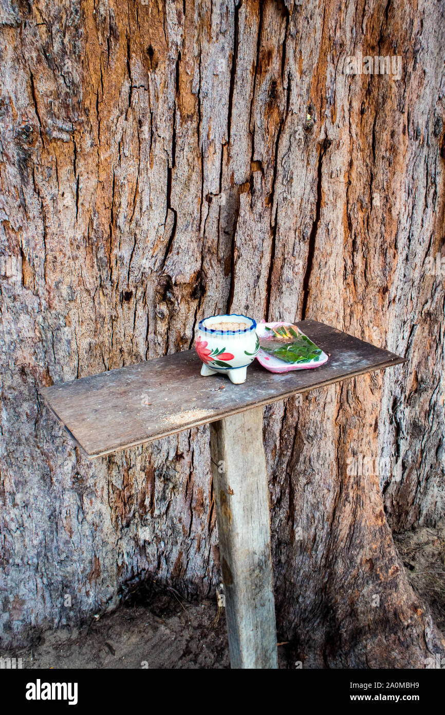 Guardian spirit worship table at the big pine cone Stock Photo - Alamy