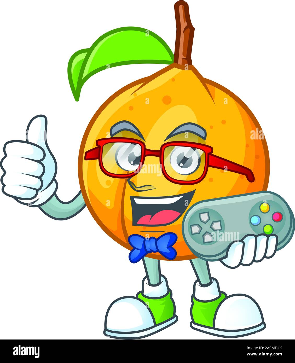 Nutmeg whole Stock Vector Images - Alamy