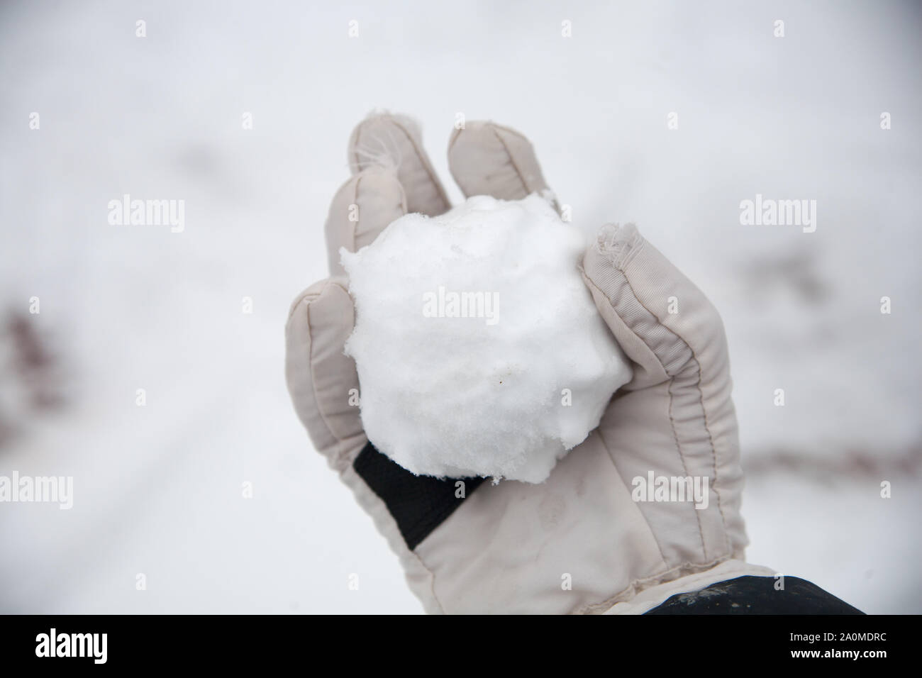 Real snowballs hi-res stock photography and images - Alamy