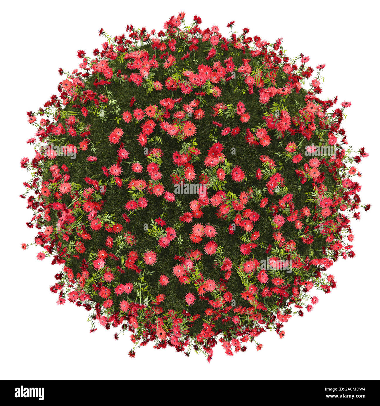 Ocean above the cloud Cut Out Stock Images & Pictures - Alamy