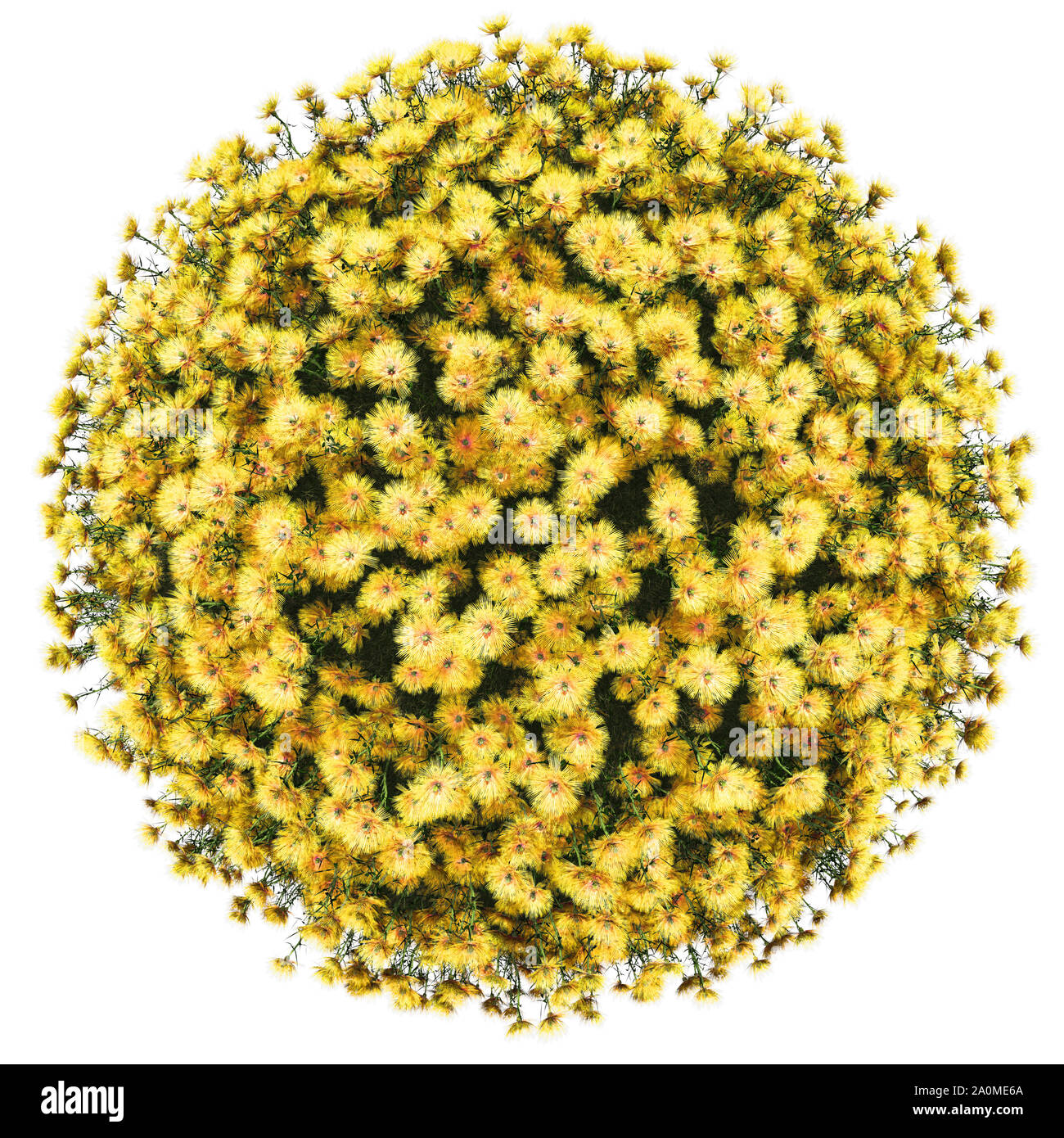 Small planet earth in Cut Out Stock Images & Pictures - Alamy