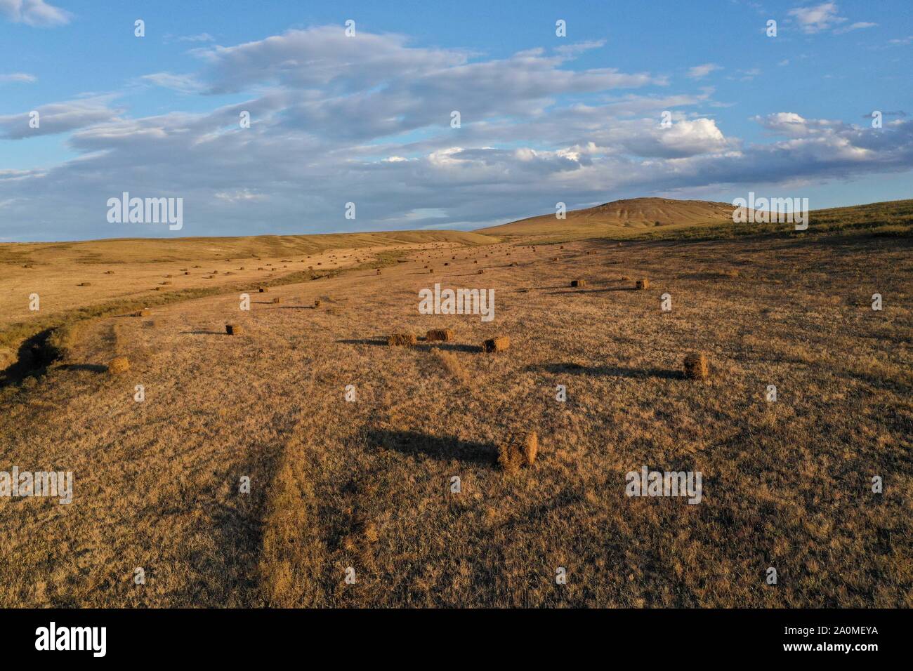 Horqin grassland hi-res stock photography and images - Alamy