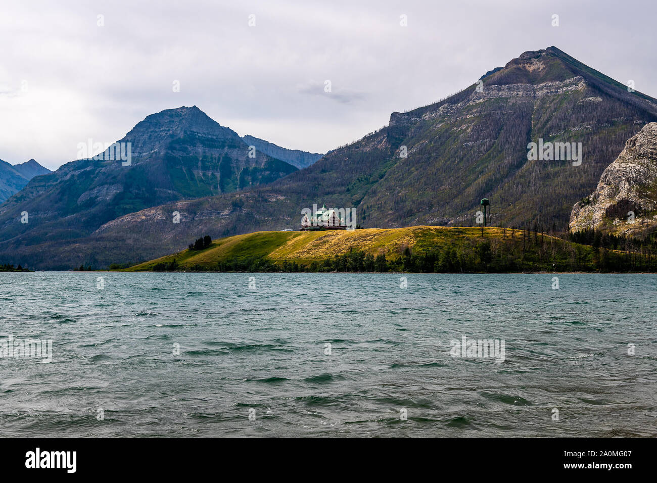 Wetlands international hi-res stock photography and images - Alamy