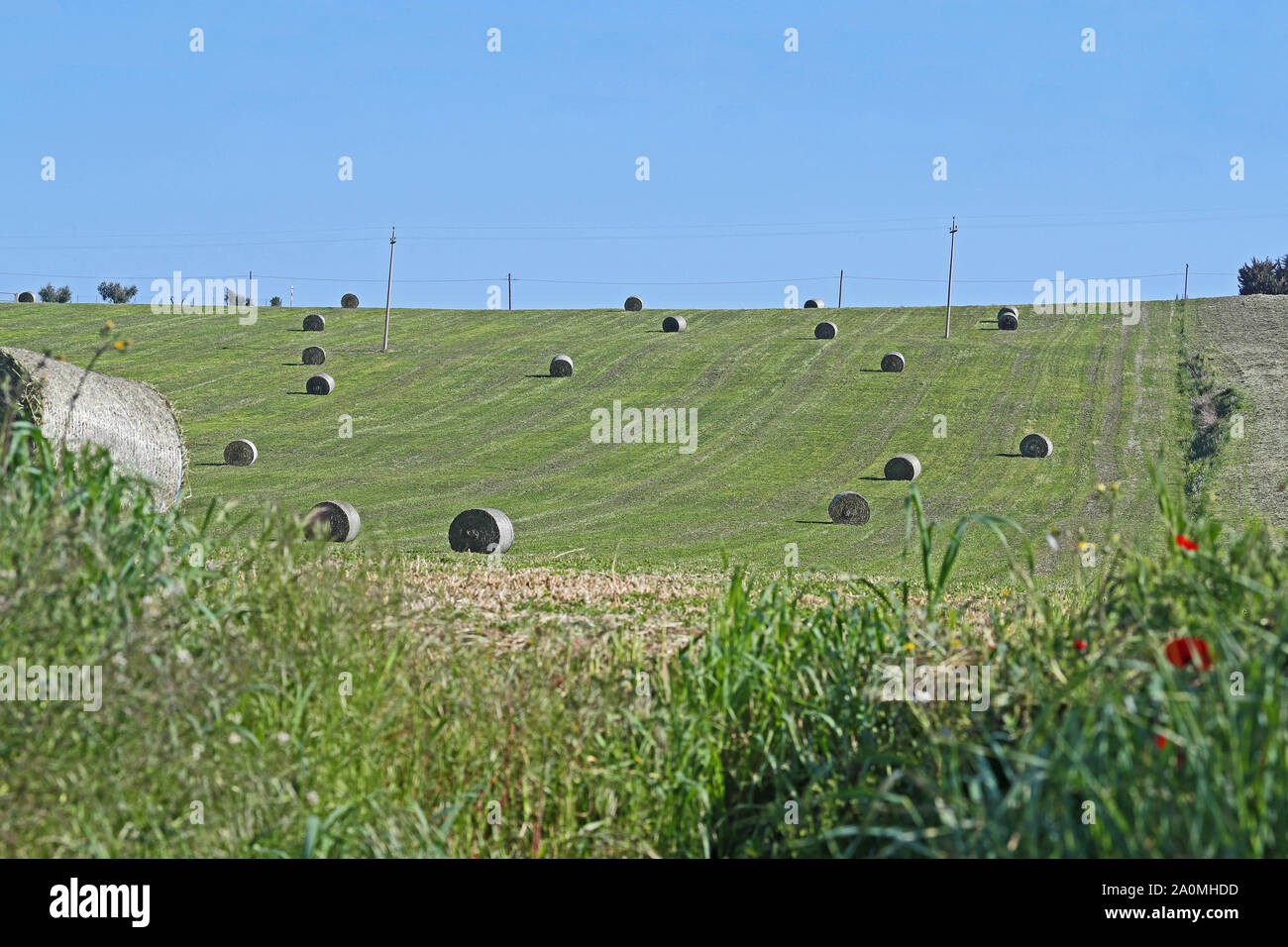Alfalfa rolls hi-res stock photography and images - Alamy