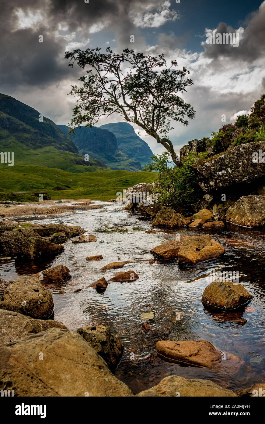 The River Coe and a dramatic tree and stormy sky. View from the River ...