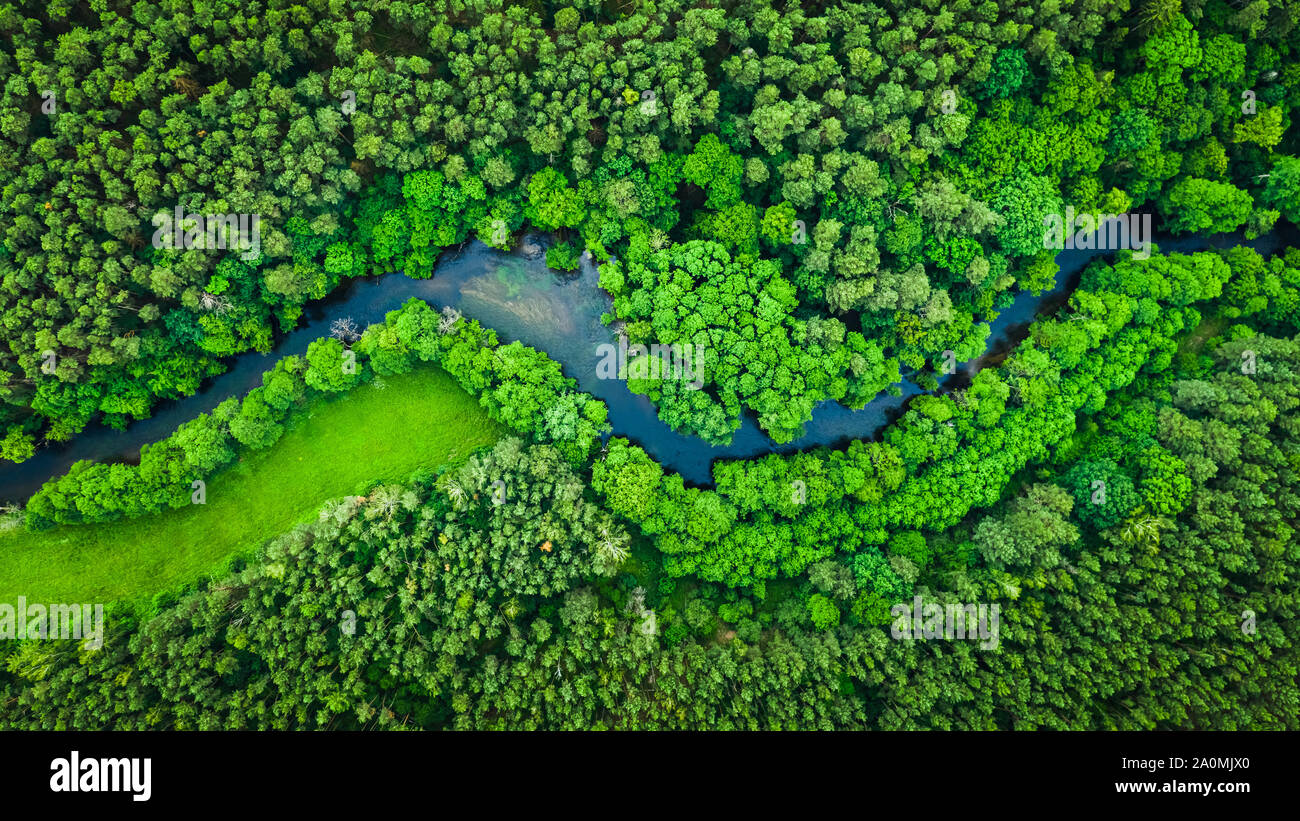 Tuchola forest national park hi-res stock photography and images - Alamy