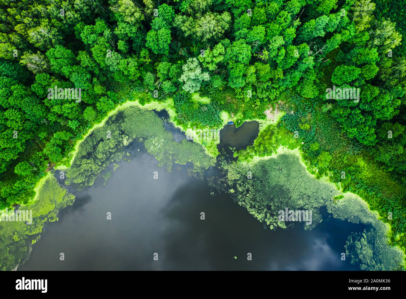Abstract aerial view algae bloom hi-res stock photography and images ...