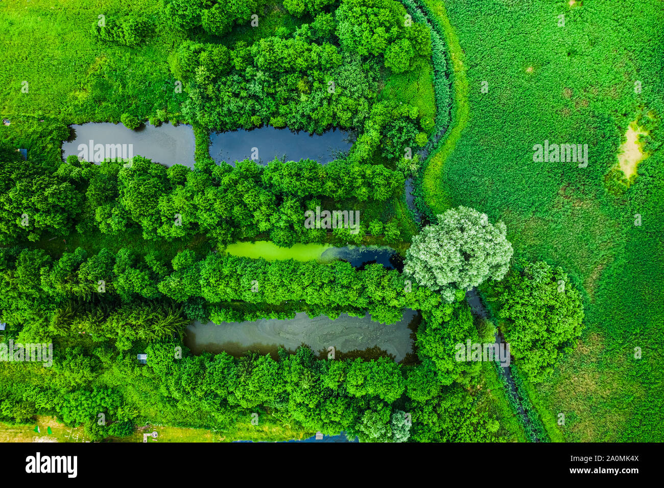 How to fish small ponds hi-res stock photography and images - Alamy