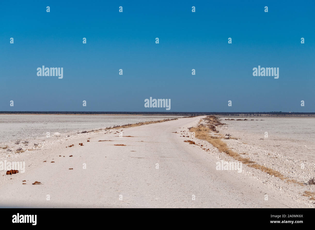 An overview of the empty space of the Etosha salt pan, Ethosha National ...