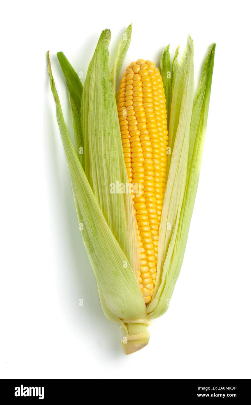 Corn in the leaves isolated on white background Stock Photo - Alamy