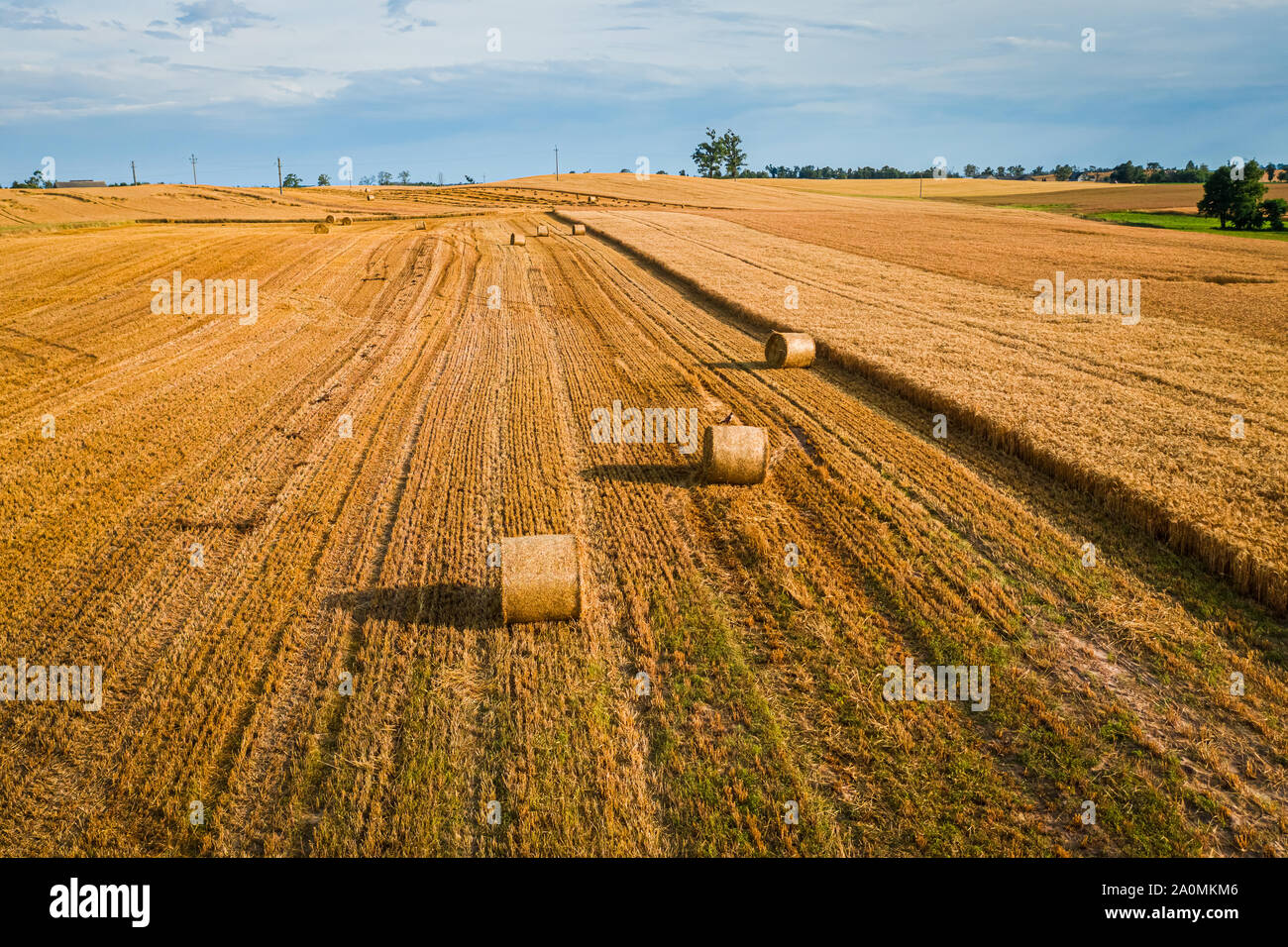 Round baler on yellow fields in summer, Poland Stock Photo - Alamy