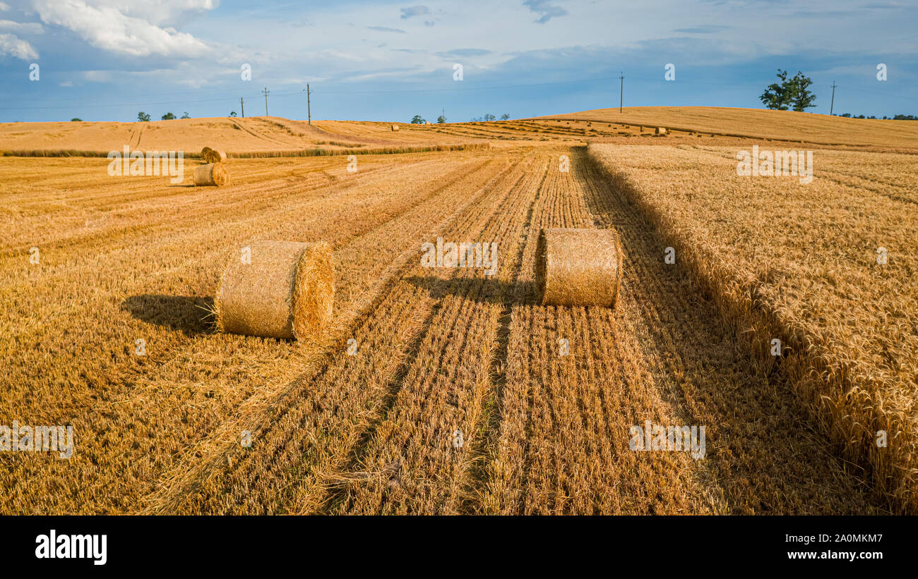 Big and round baler on fields in Poland Stock Photo - Alamy