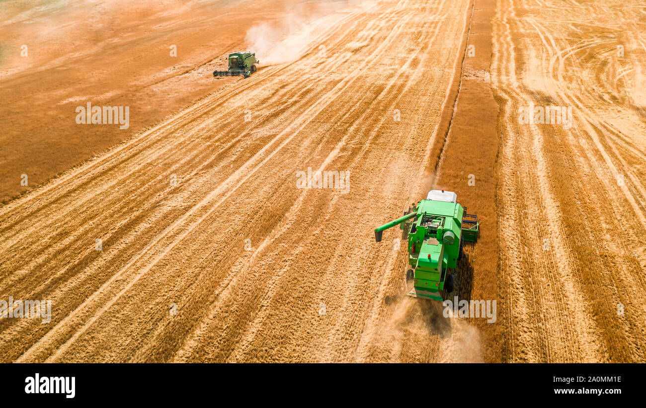 Two harvesters harvesting seed in Poland, aerial view Stock Photo - Alamy