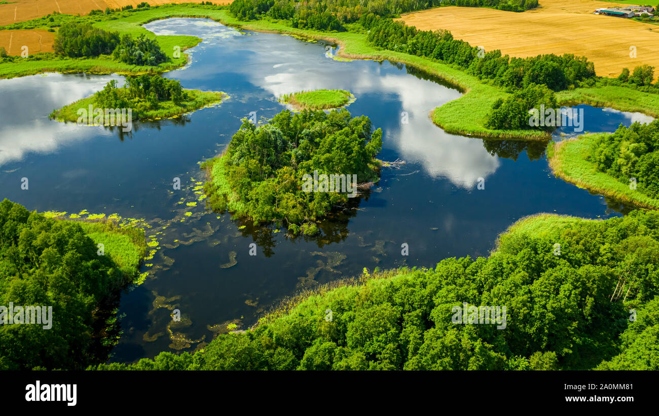 Amazing blue lake and green forest in summer, aerial view Stock Photo ...