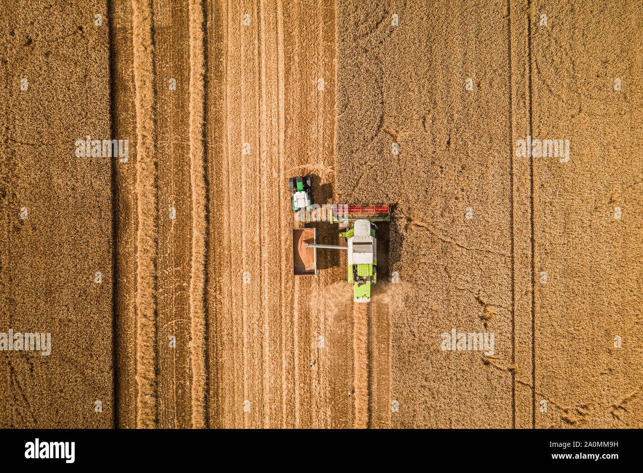 Flying above big harvester harvesting seed in Poland Stock Photo - Alamy