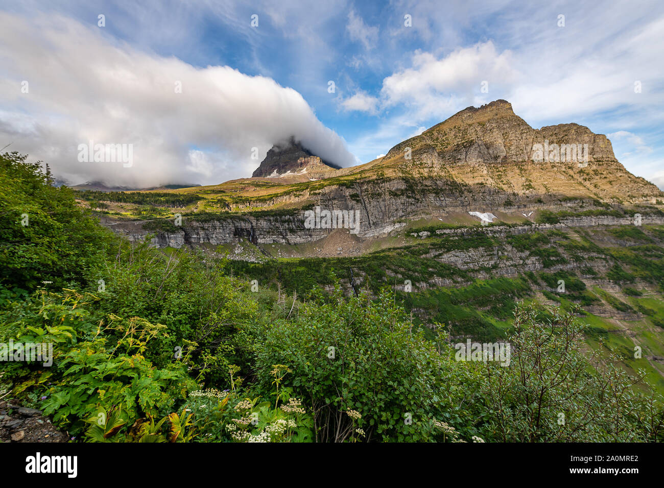 The Highline Trail, Glacier National Park Stock Photo - Alamy