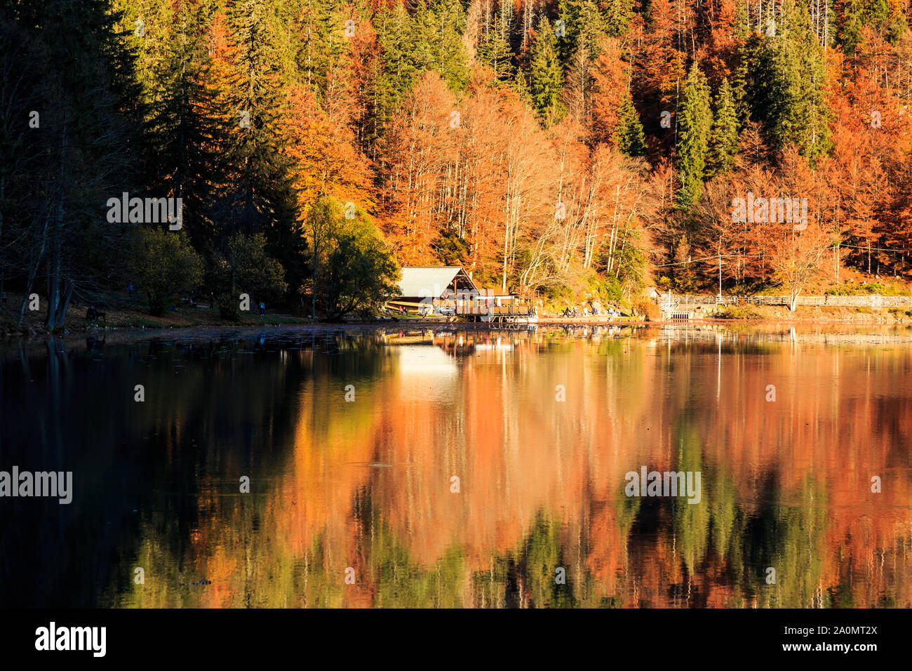 october afternoon at the lake during a colorful autumn Stock Photo - Alamy