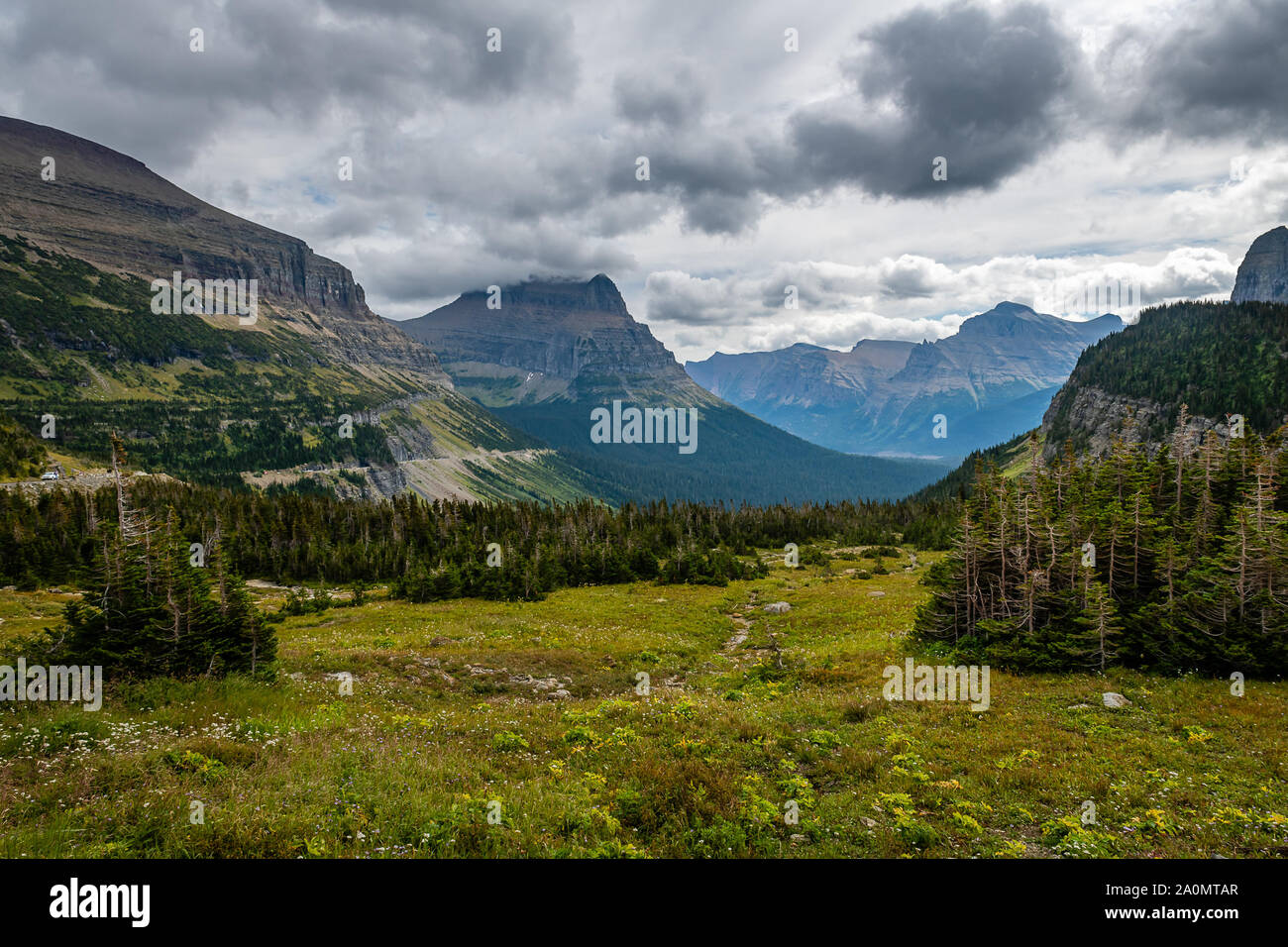 Logan Pass, Glacier National Park Stock Photo - Alamy