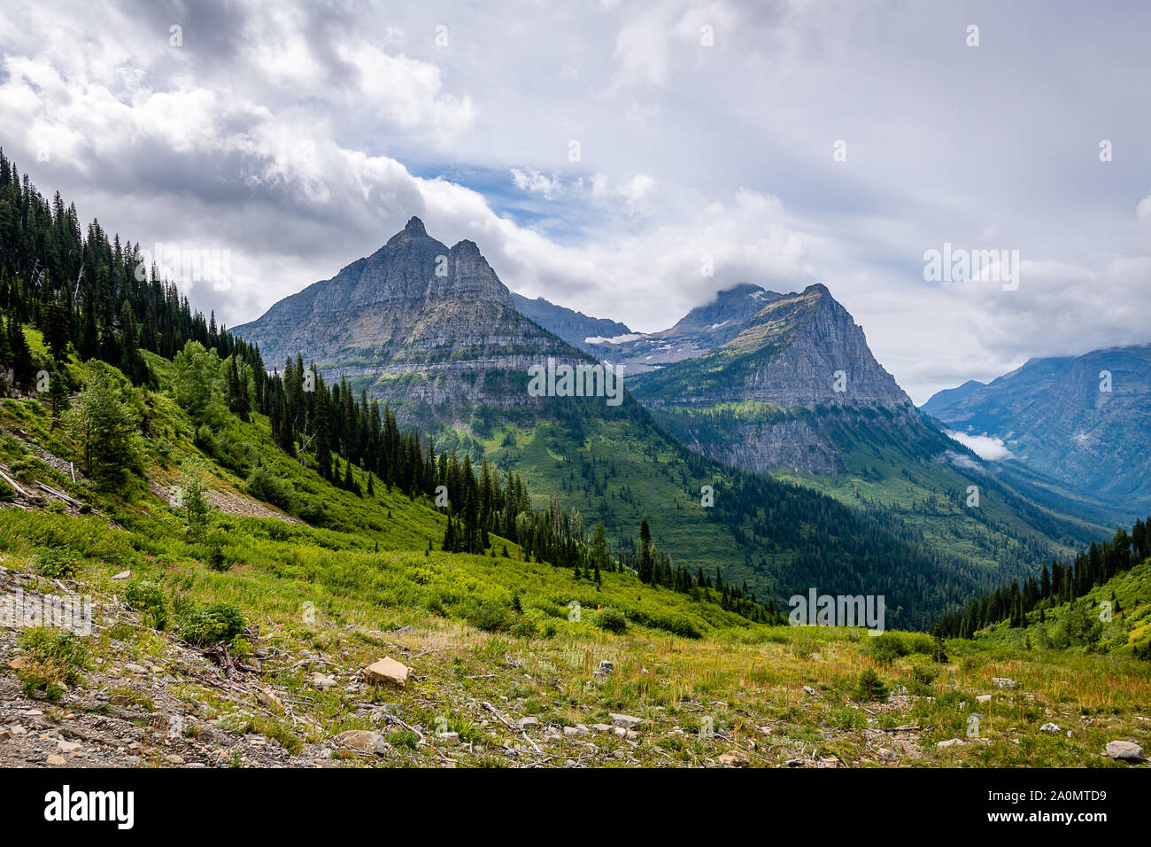 Mount logan forest hi-res stock photography and images - Alamy