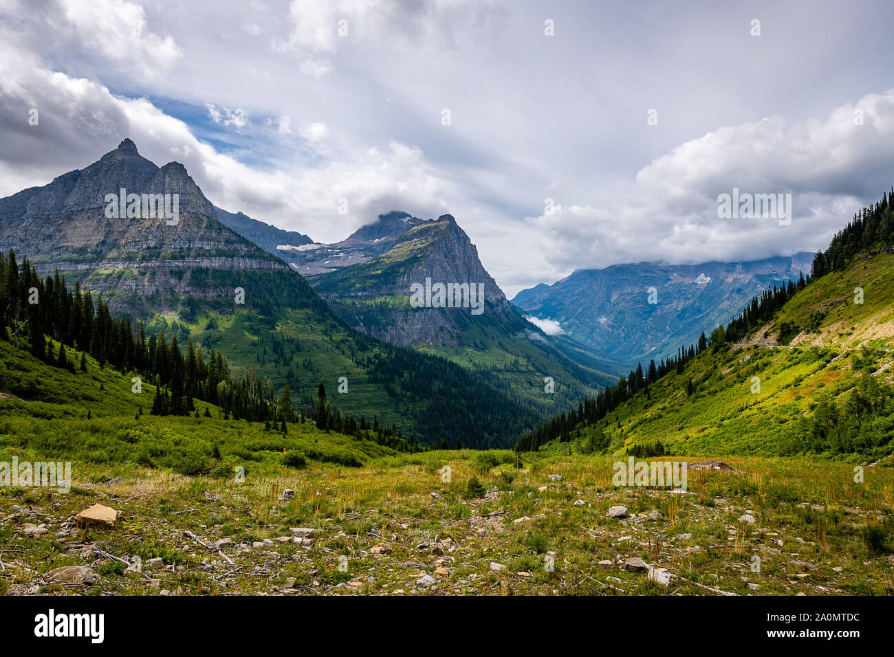 Mount logan forest hi-res stock photography and images - Alamy
