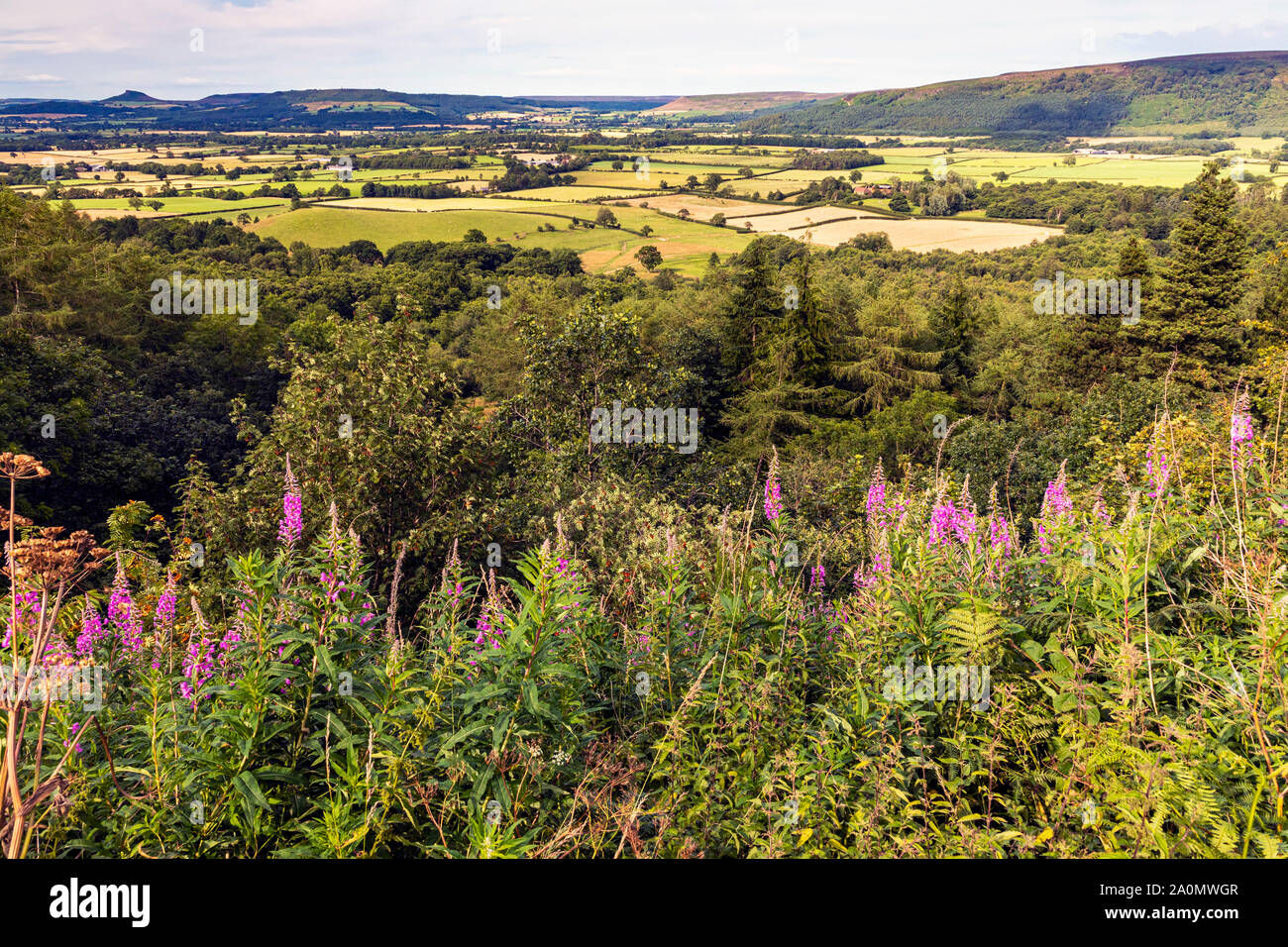 Landscape view of North Yorkshire Moors and Roseberry Topping, Claybank ...