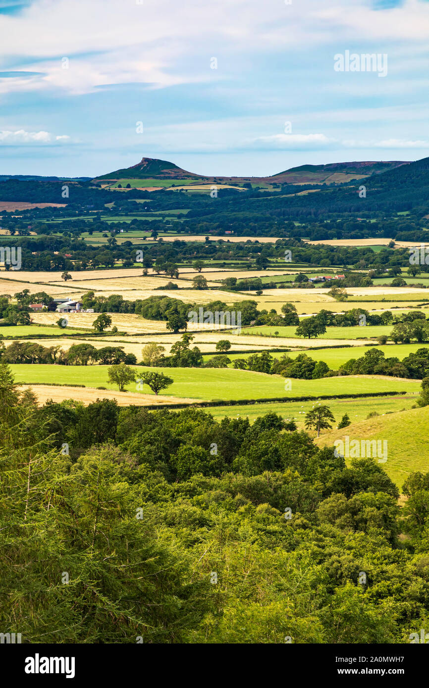 Landscape view of North Yorkshire Moors and Roseberry Topping, Claybank ...