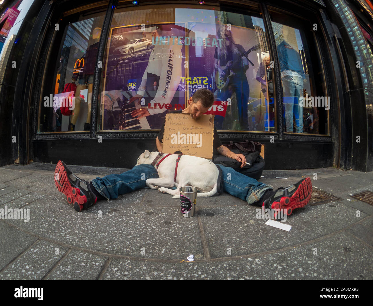 New York, USA - September 6, 2018: Homeless man and his dog beg at ...