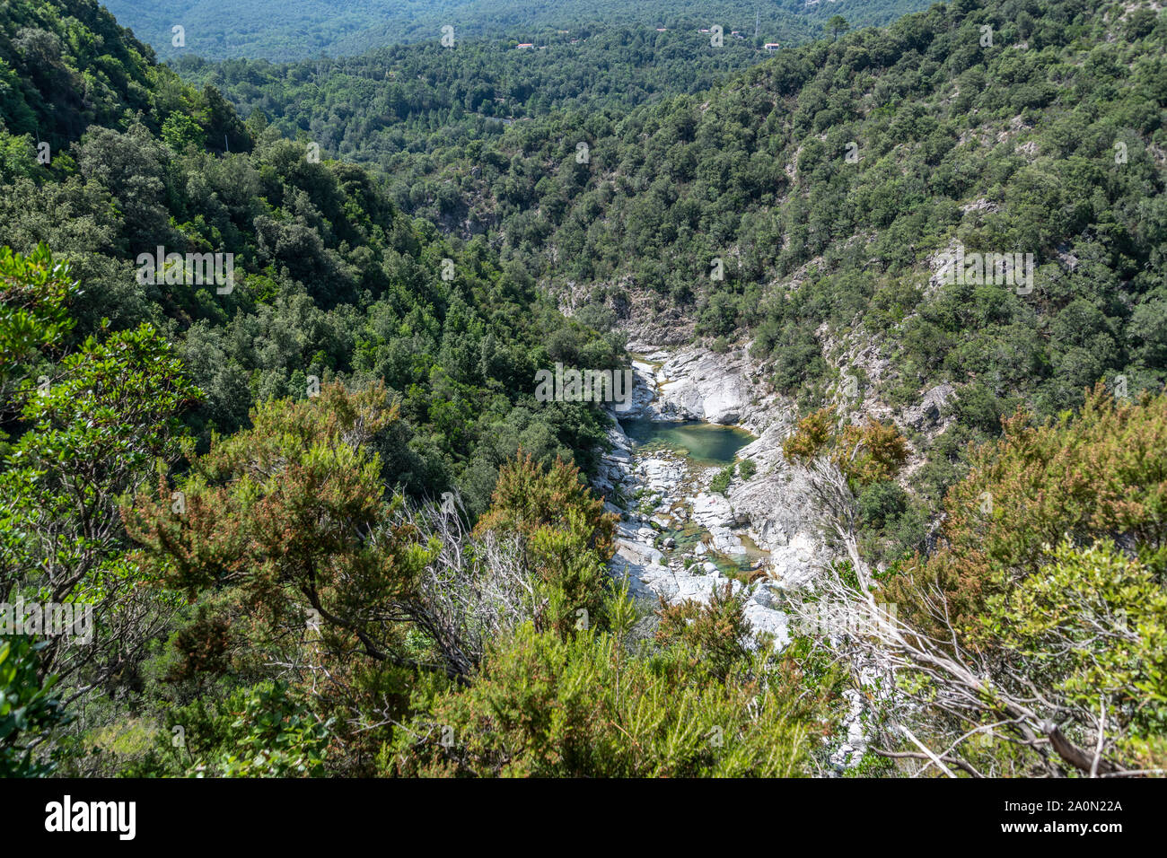 River with natural pools and forest of Travu valley. Travu Valley ...