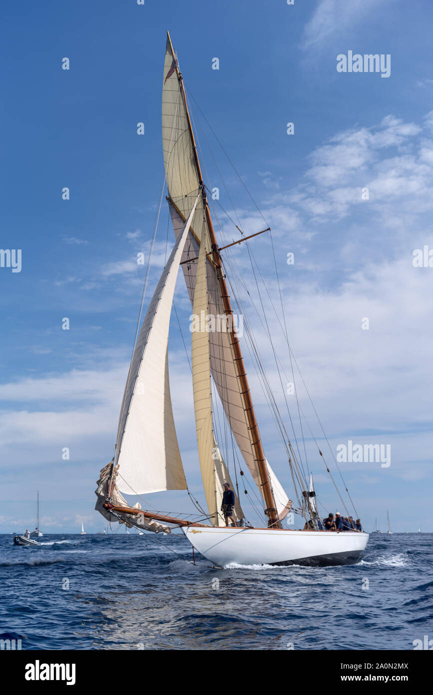 Tuiga sailboat, flagship of the Monaco Yacht Club, during racing in ...