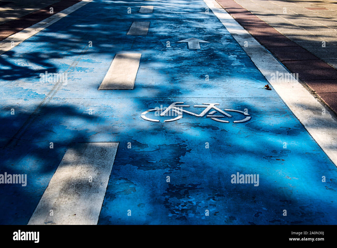 Bright blue bike path in a modern resort town for the convenience and ...