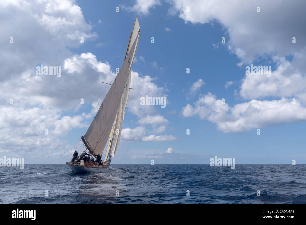 Tuiga sailboat, flagship of the Monaco Yacht Club, during racing in ...