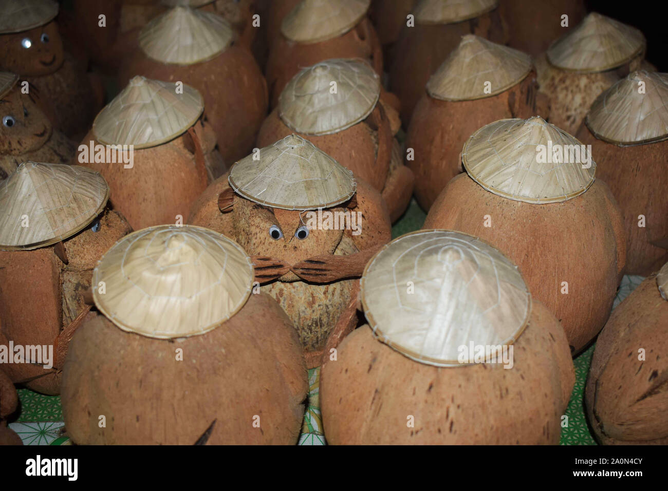 Monkey wearing close hi-res stock photography and images - Alamy