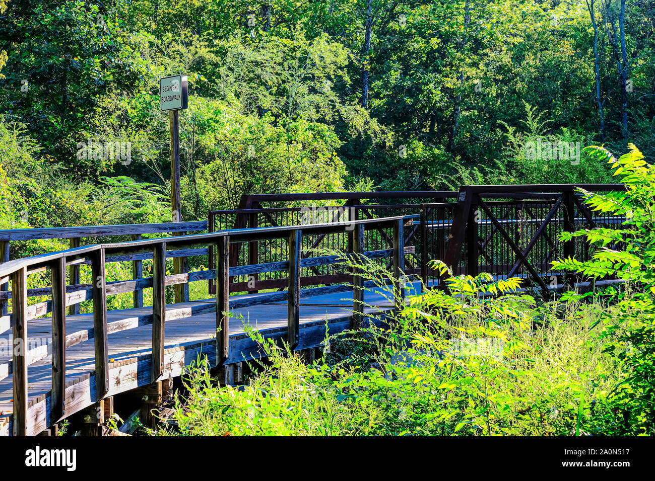Fitness Trail Curving Through Forest Stock Photo - Alamy