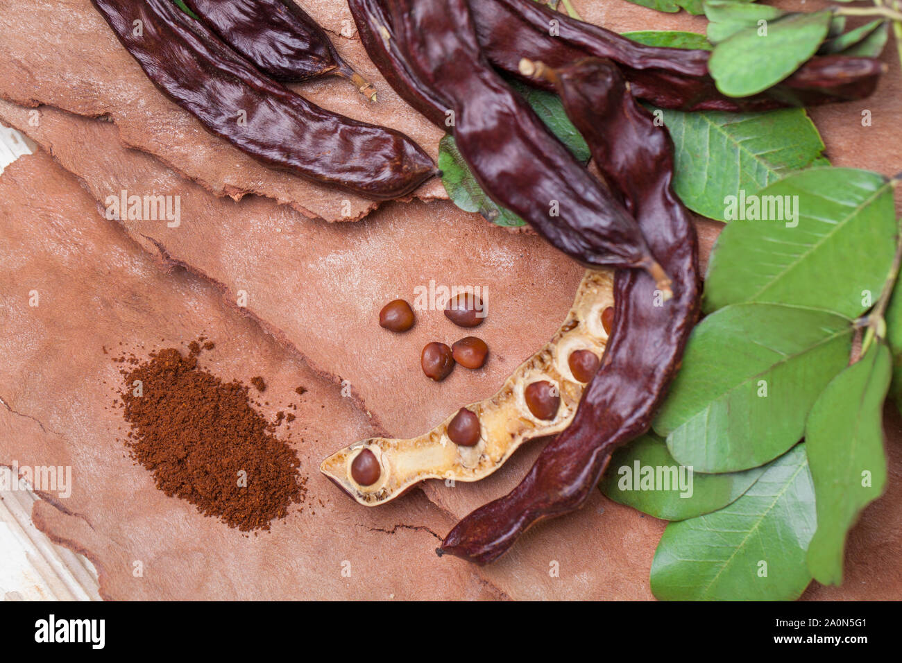 Carob. Organic carob pods with seeds and leaves on tree bark table ...