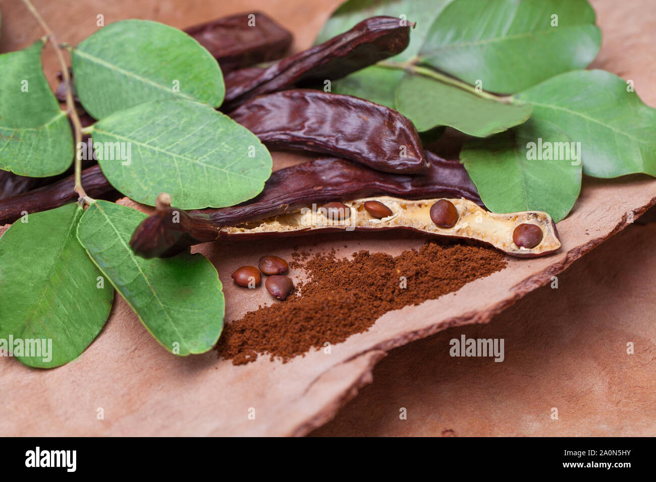 Carob. Organic carob pods with seeds and leaves on tree bark table ...