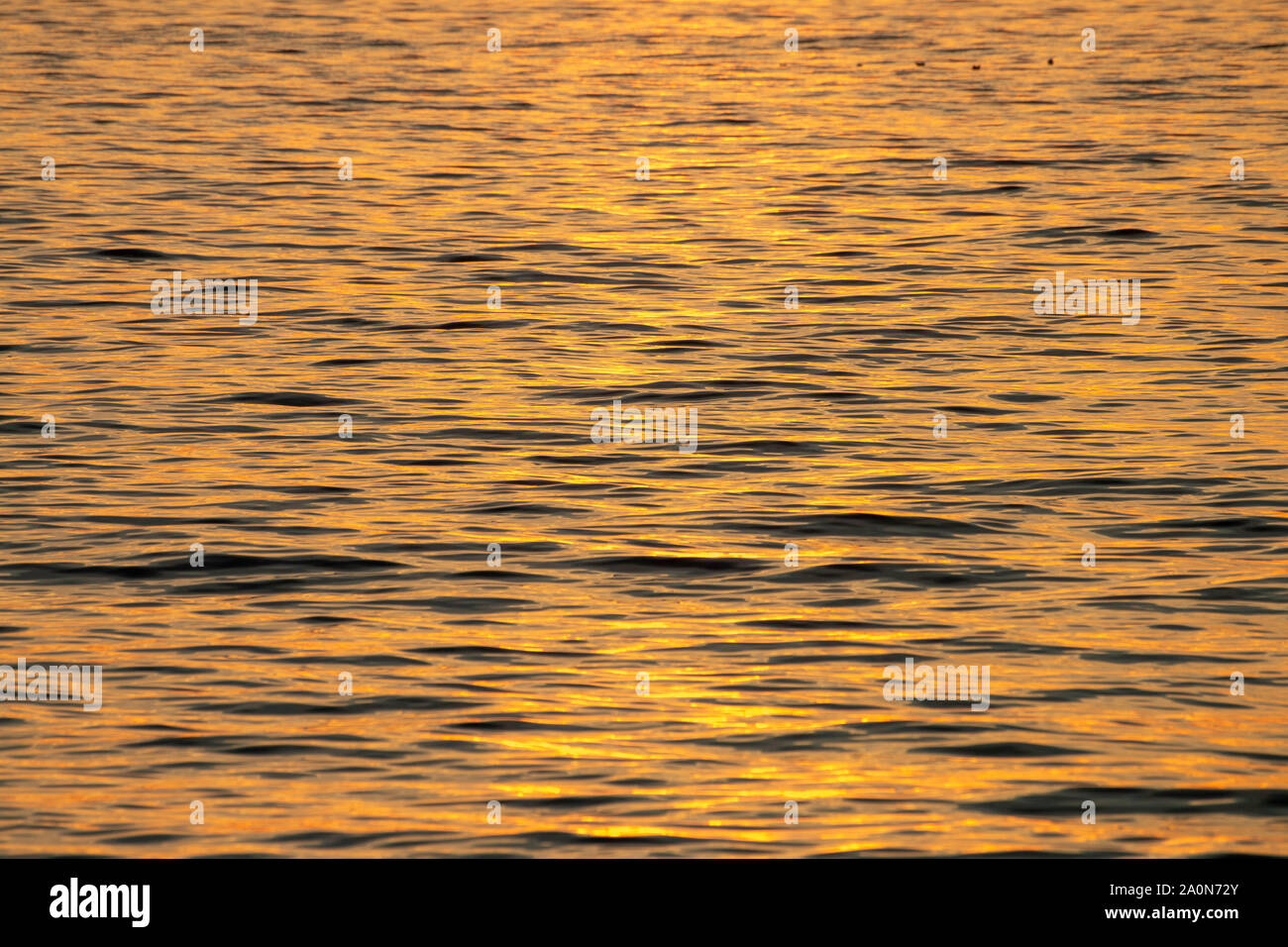 Soft sea surface background sunset lights (sunset, sunrise, sun, Stars ...