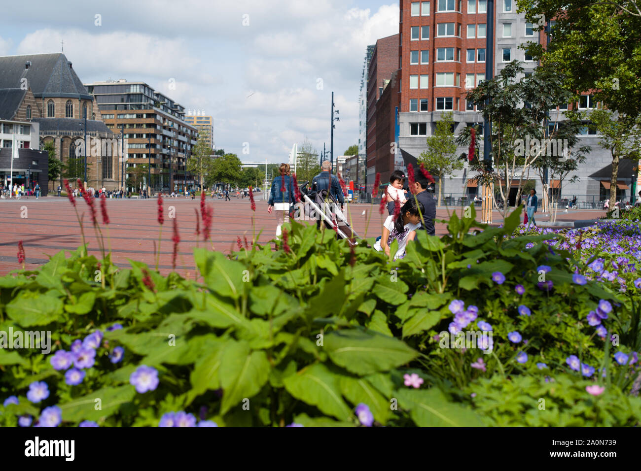 Rotterdam city centre hi-res stock photography and images - Alamy