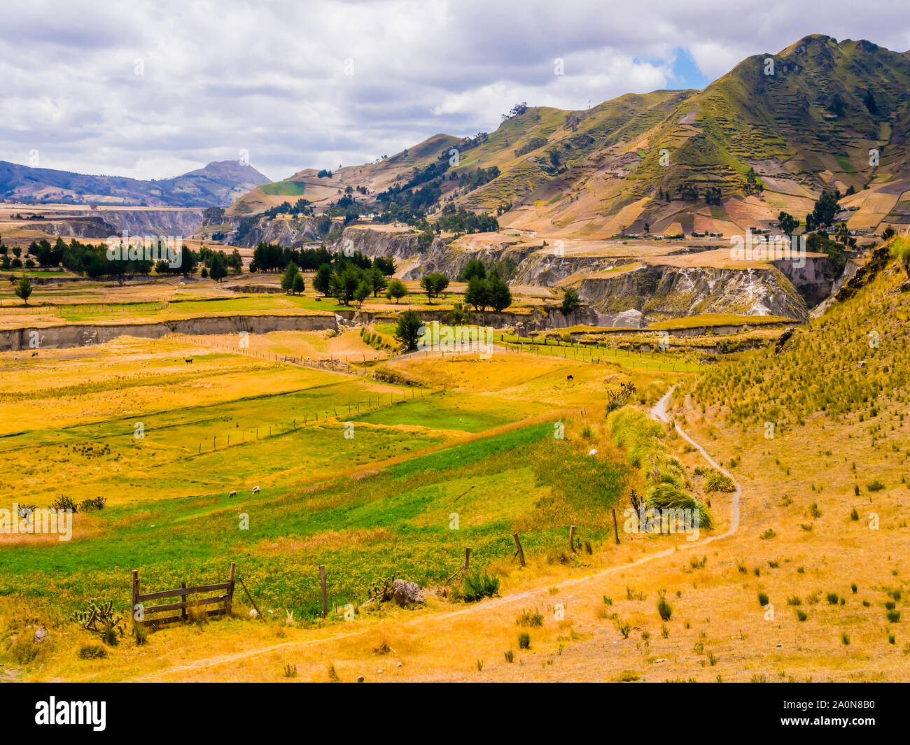 Ecuadorian andean paramo hi-res stock photography and images - Alamy