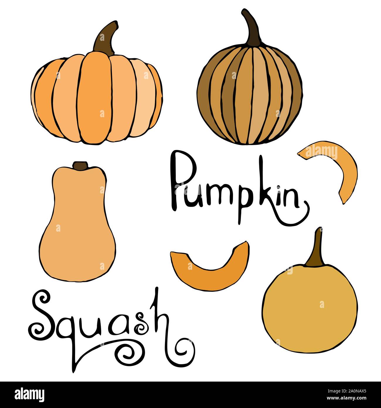 Pumpkin isolated sizes hi-res stock photography and images - Alamy