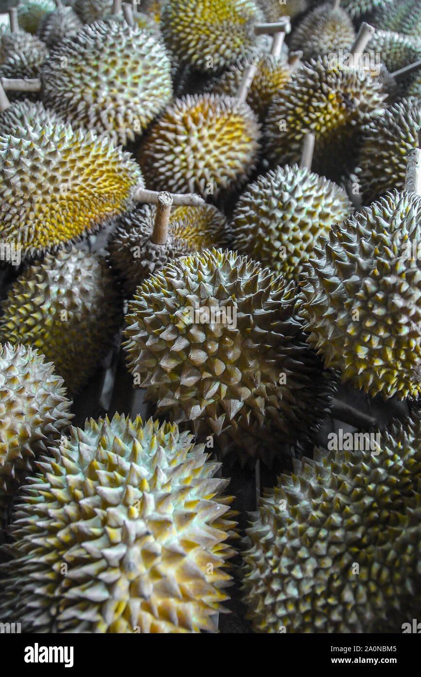 Durian rind hi-res stock photography and images - Alamy