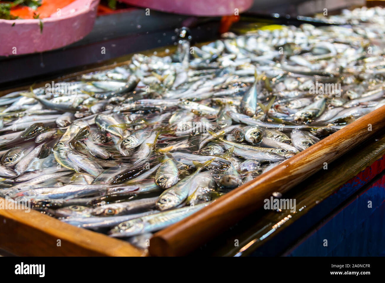 Fish market in istanbul, Turkey Stock Photo - Alamy