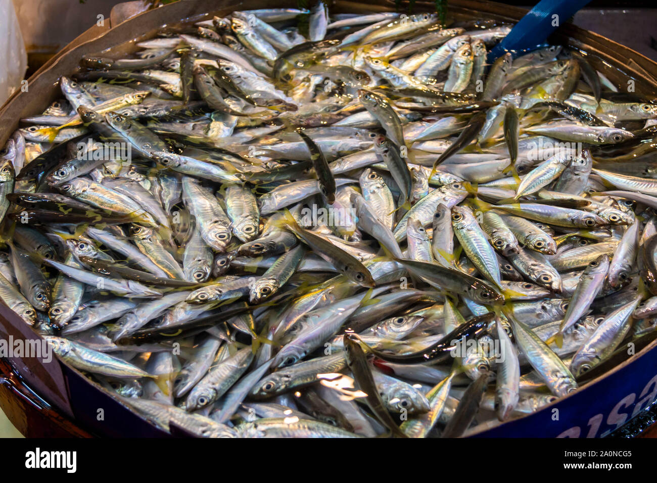 Fish market in istanbul, Turkey Stock Photo - Alamy