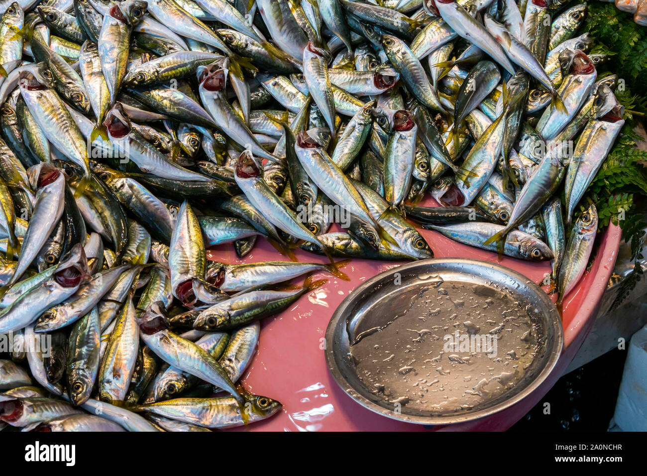 Fish market in istanbul, Turkey Stock Photo - Alamy