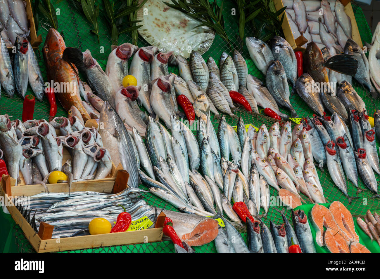 Fish market in istanbul, Turkey Stock Photo - Alamy