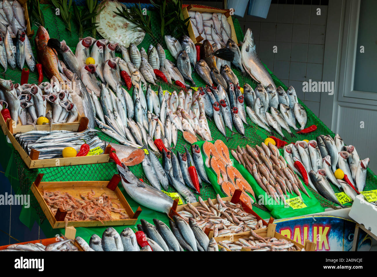 Fish market in istanbul, Turkey Stock Photo - Alamy