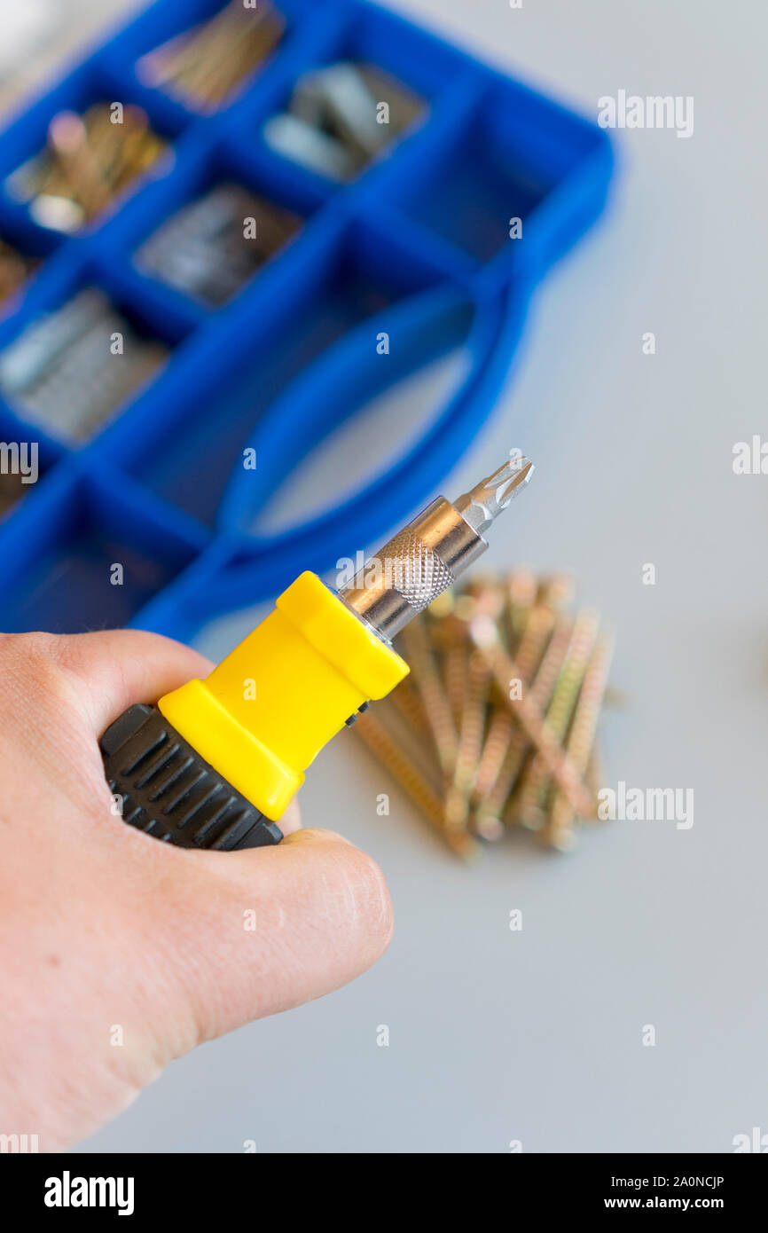 Male hand with a screwdriver for screws and dowels on a gray background ...