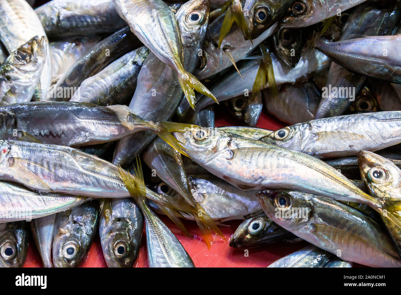 Fish market in istanbul, Turkey Stock Photo - Alamy