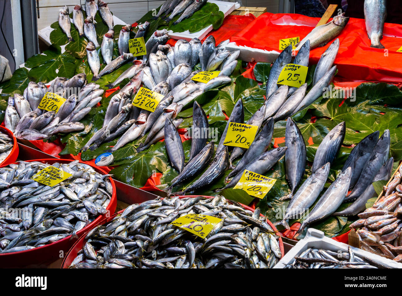 Fish market in istanbul, Turkey Stock Photo - Alamy
