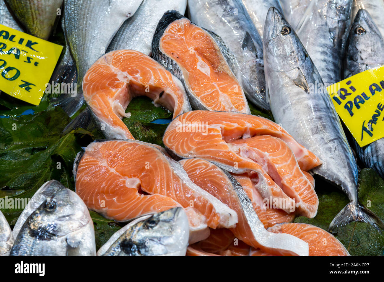 Fish market in istanbul, Turkey Stock Photo - Alamy