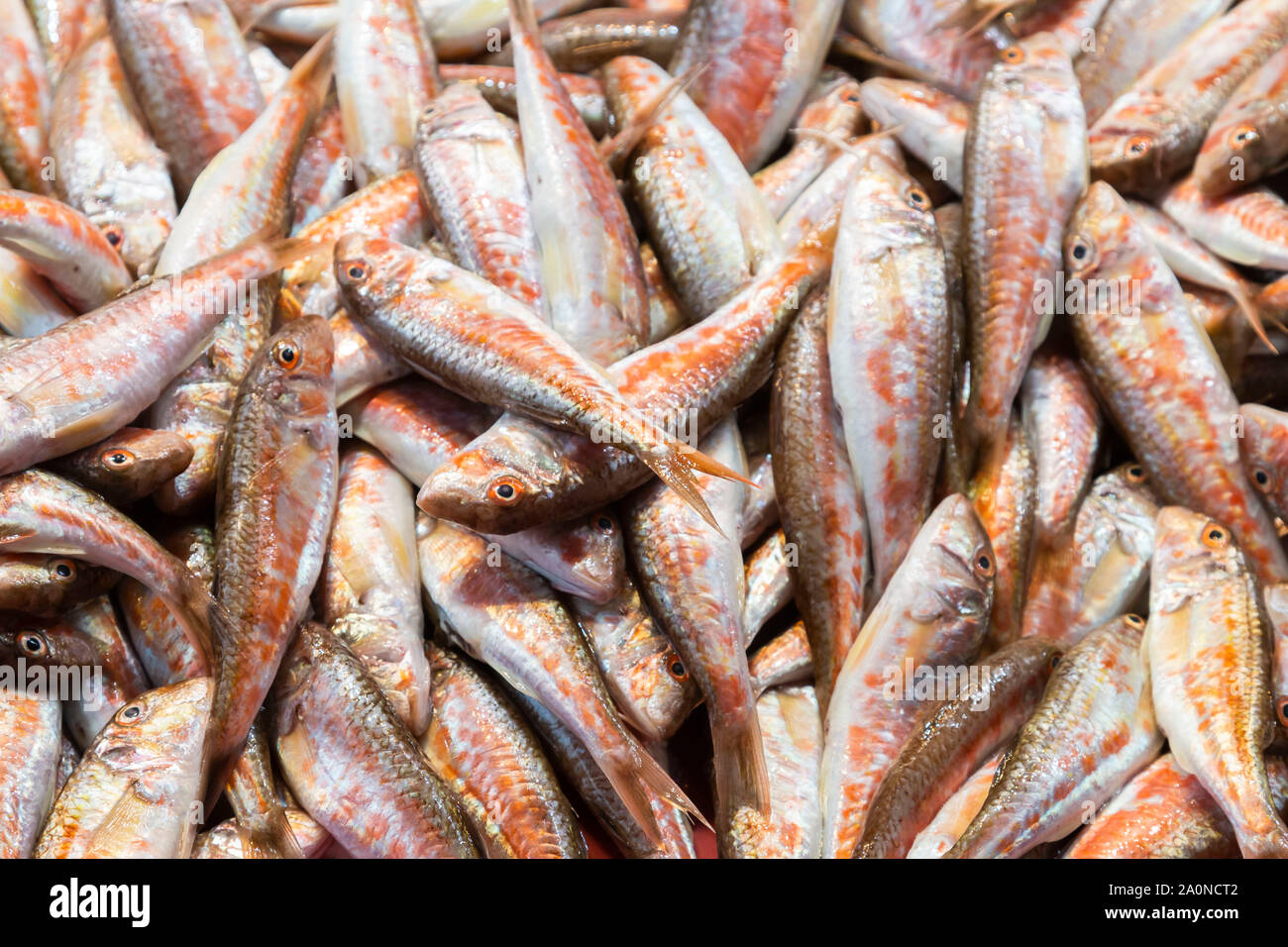 Fish market in istanbul, Turkey Stock Photo - Alamy